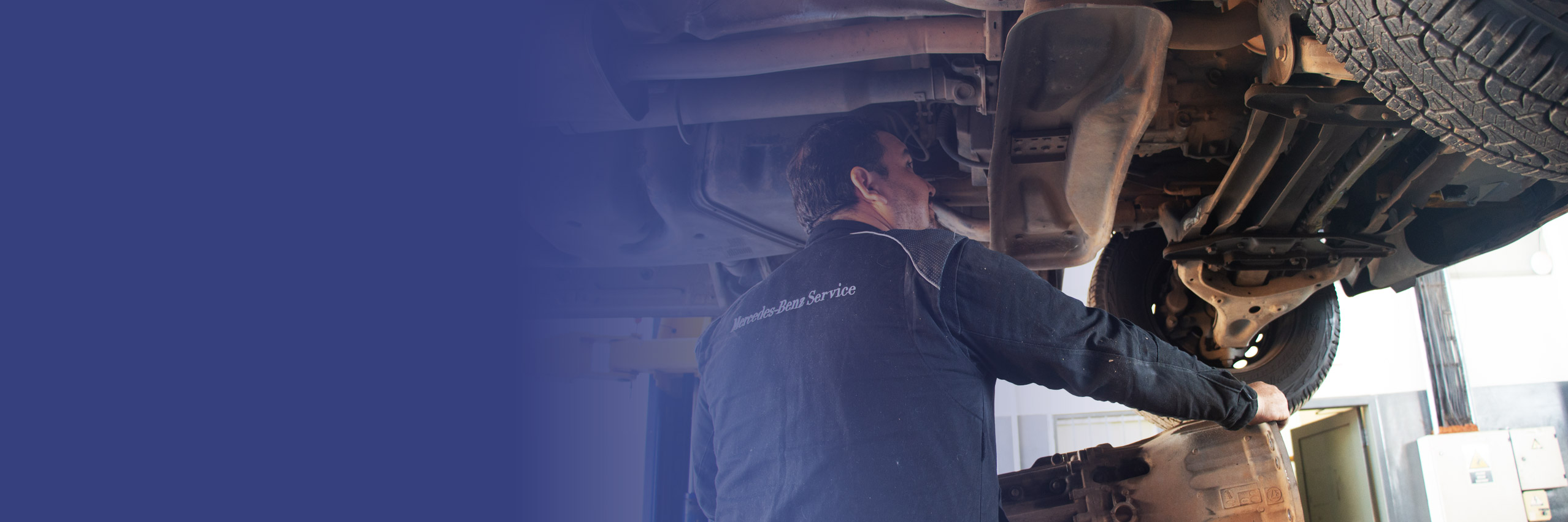 Home - Taller Halley