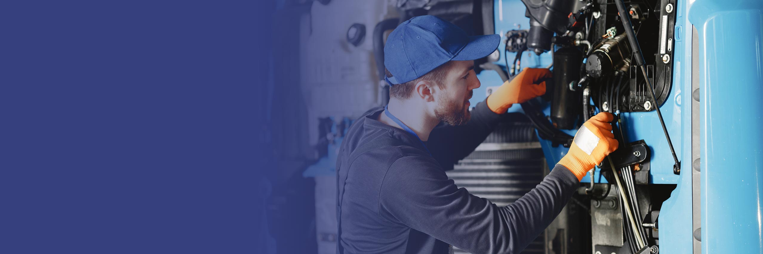 Home - Taller Halley